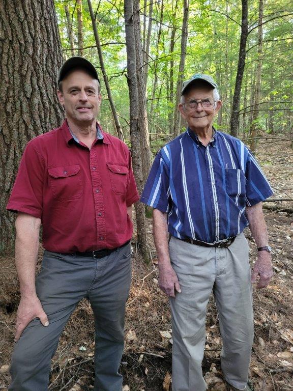 Logging and the Art of Gardening - American Essence
