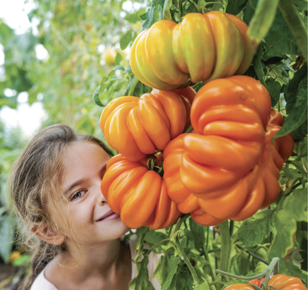 This Family-Owned Seed Company Is Telling—and Saving—the Stories of ...